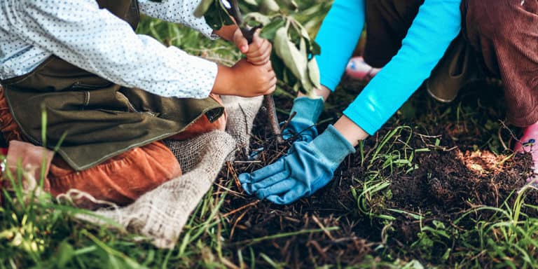 5 Ways Your Landscape Can Help Protect the Environment - Agromin