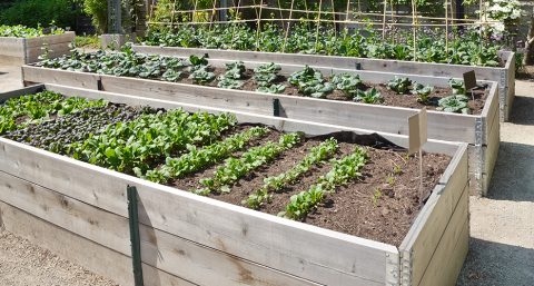 All Types of Products | Agromin