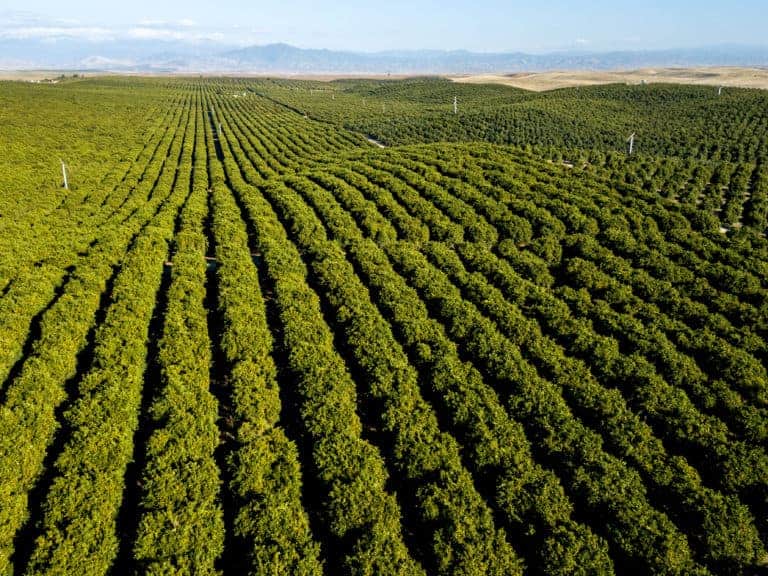 Premium Soil Products for Farming and Landscaping - Agromin