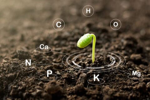 Premium Soil Products for Gardening, Farming & Landscaping | Agromin