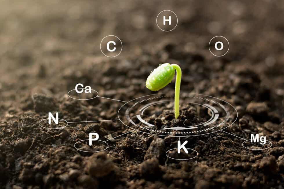 Premium Soil Products for Gardening, Farming & Landscaping | Agromin